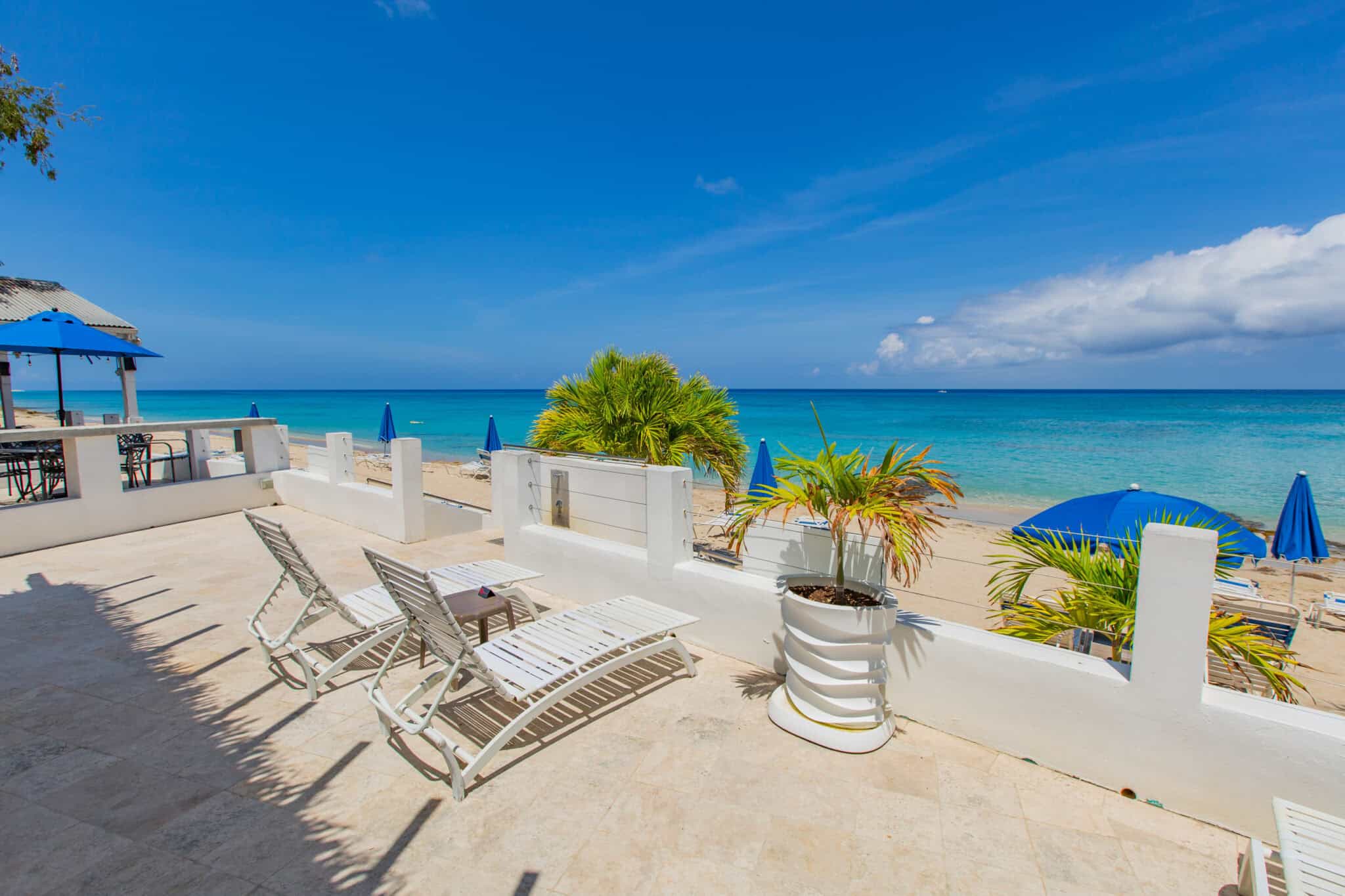 Ecotourism on St. Croix | US Virgin Islands